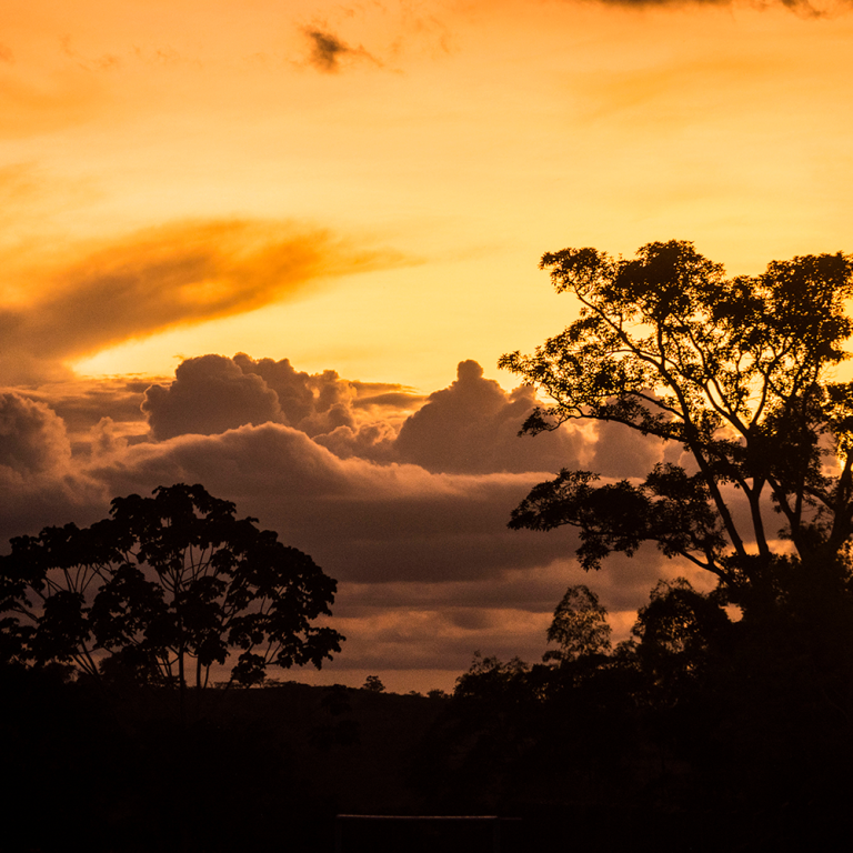 Caquetá: Puerta a la biodiversidad y cultura de la Amazonía